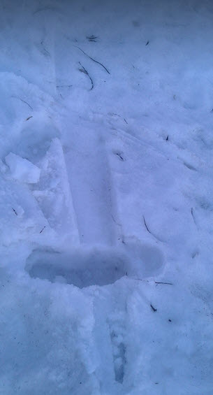 "average joe windsurfer" : 2021 Windsurf Journale