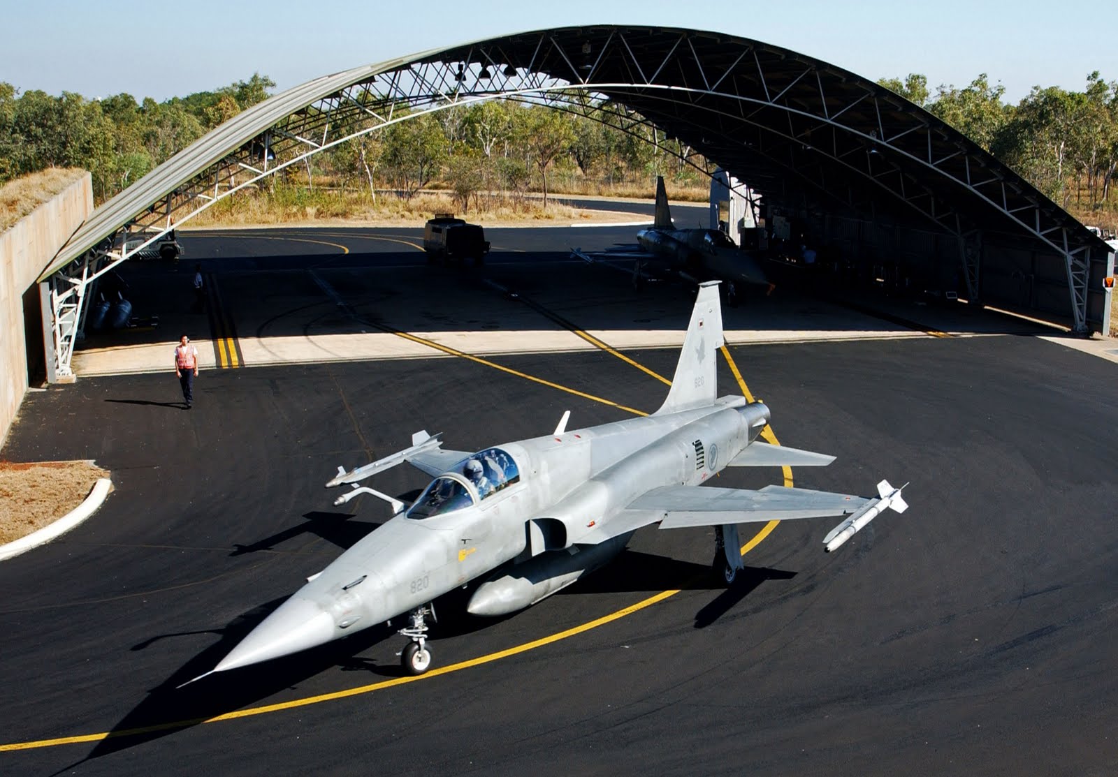 Global War Birds: Northrop F-5 Tiger