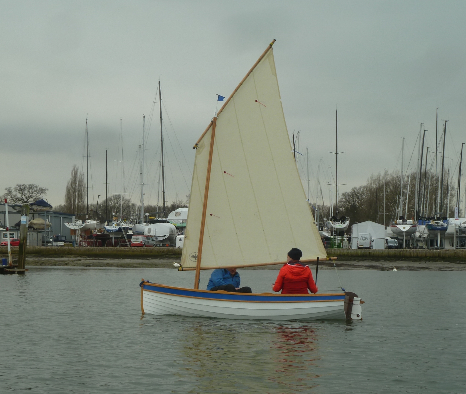 Bursledon Blog: Guillemot