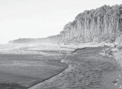 Sebutkan macam-macam erosi berdasarkan penyebabnya? | ips ipa