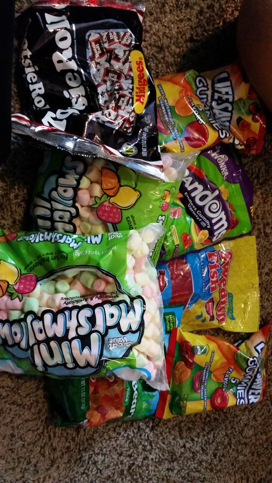 Krazy Kuehner Days: Ann McCallum Books - Eat Your Math Homework Review