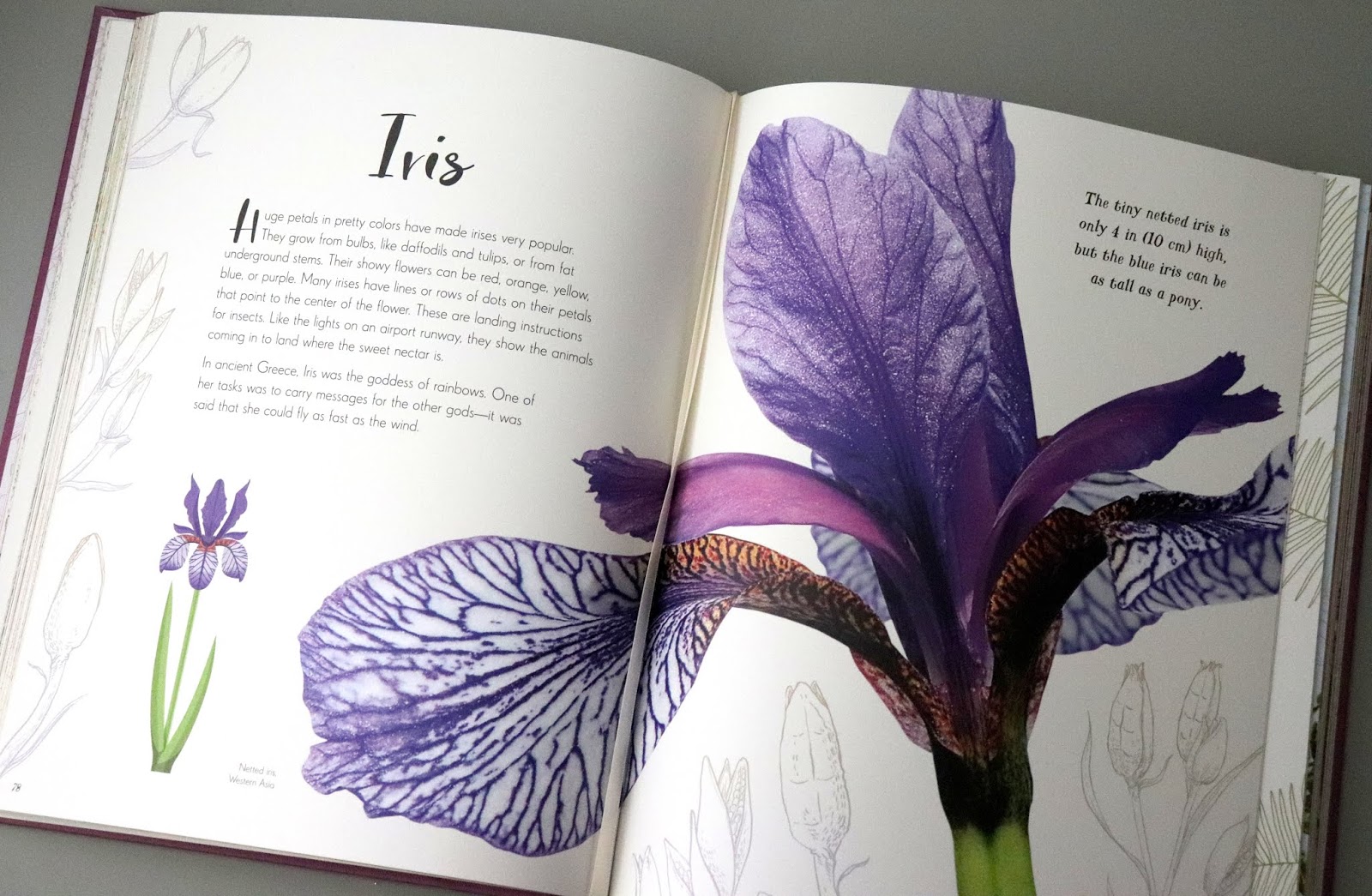 Create With Mom: Learning to appreciate what is around us and Giveaway