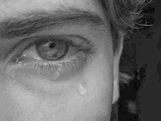 Mensaje en una botella: CONFIESO QUE HE LLORADO