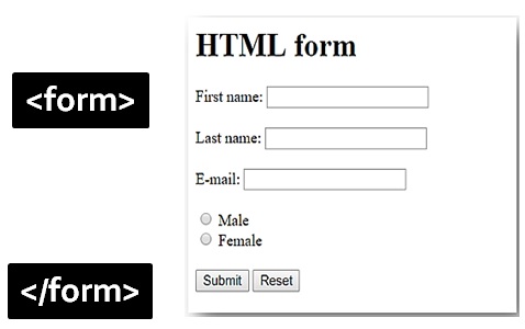 Information Technology (IT) Notes for Std. 12th HSC Board Exam ...