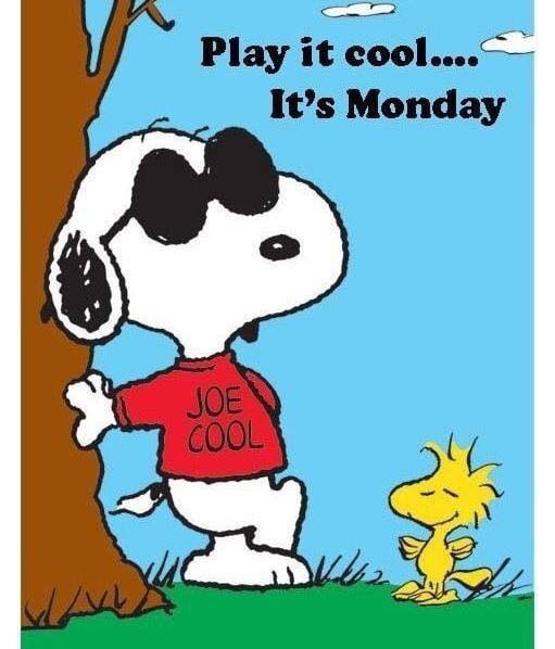 Skip's House of Chaos: Happy Monday, Little Ducks