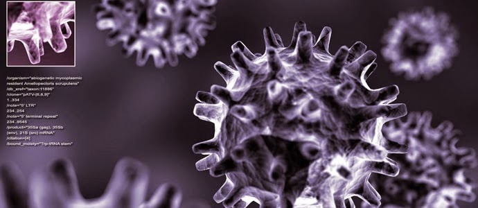 Salud y Belleza: Síndrome de Aase