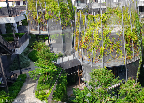 Tamarind Square And The 24-Hour Book Store | Elephants & Mangoes