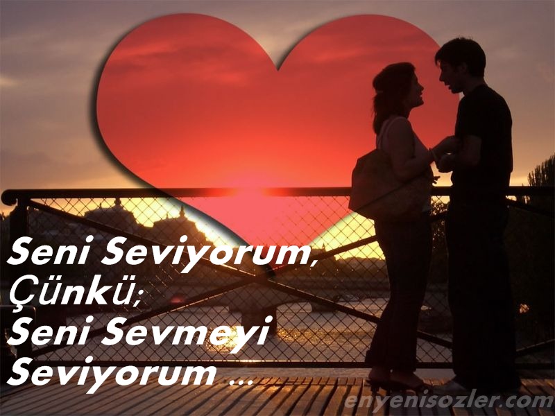 Seni Seviyorum