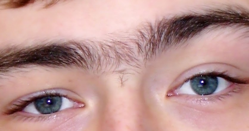 EL ÚLTIMO CONDILL. : 2589- LOS CEJIJUNTOS.