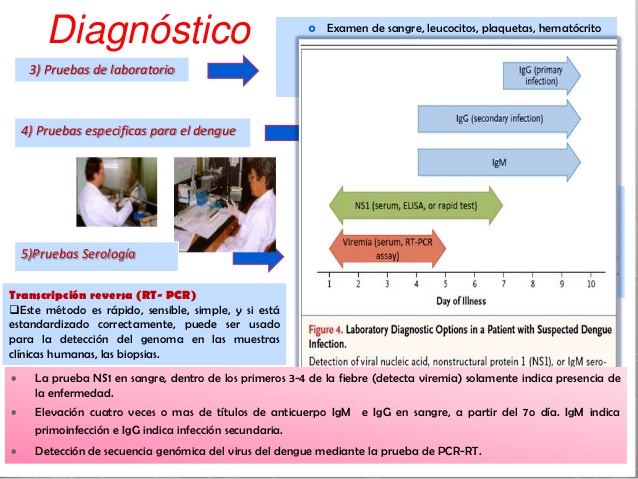 CONOCER Y PREVENIR EL CONTAGIO DEL DENGUE.
