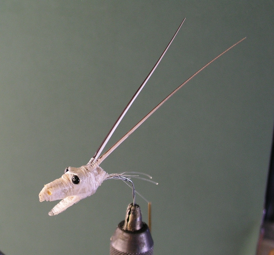 David Martins' The Realistic Fly: The Dragon Fly