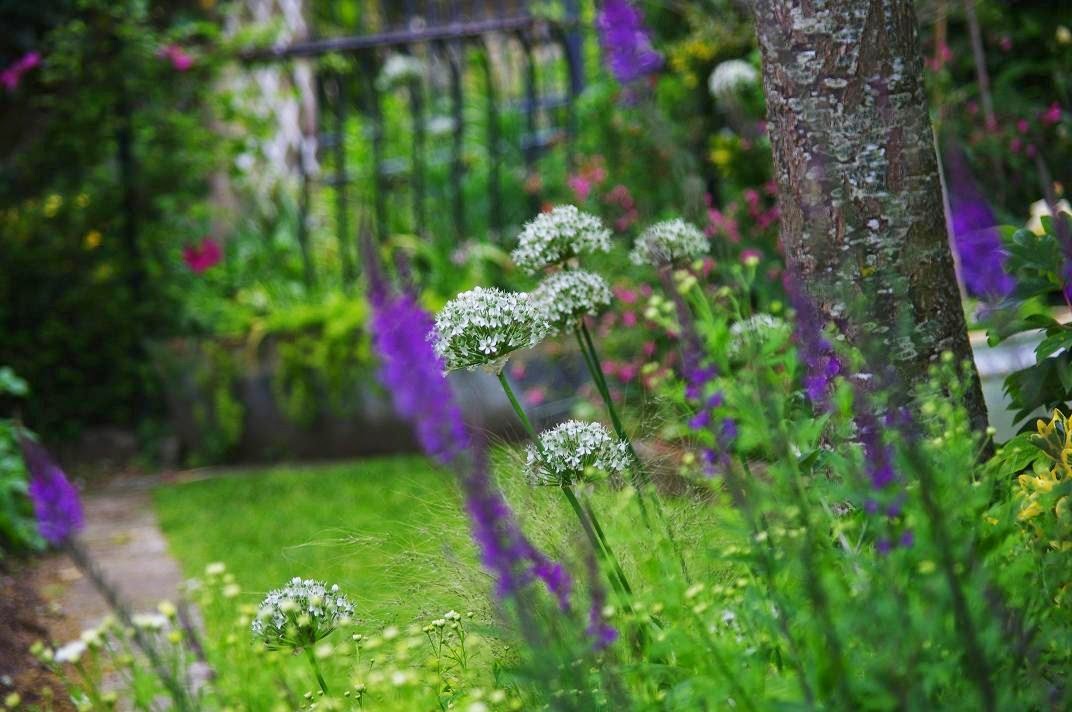 Le jardin des couronnes : Légèreté