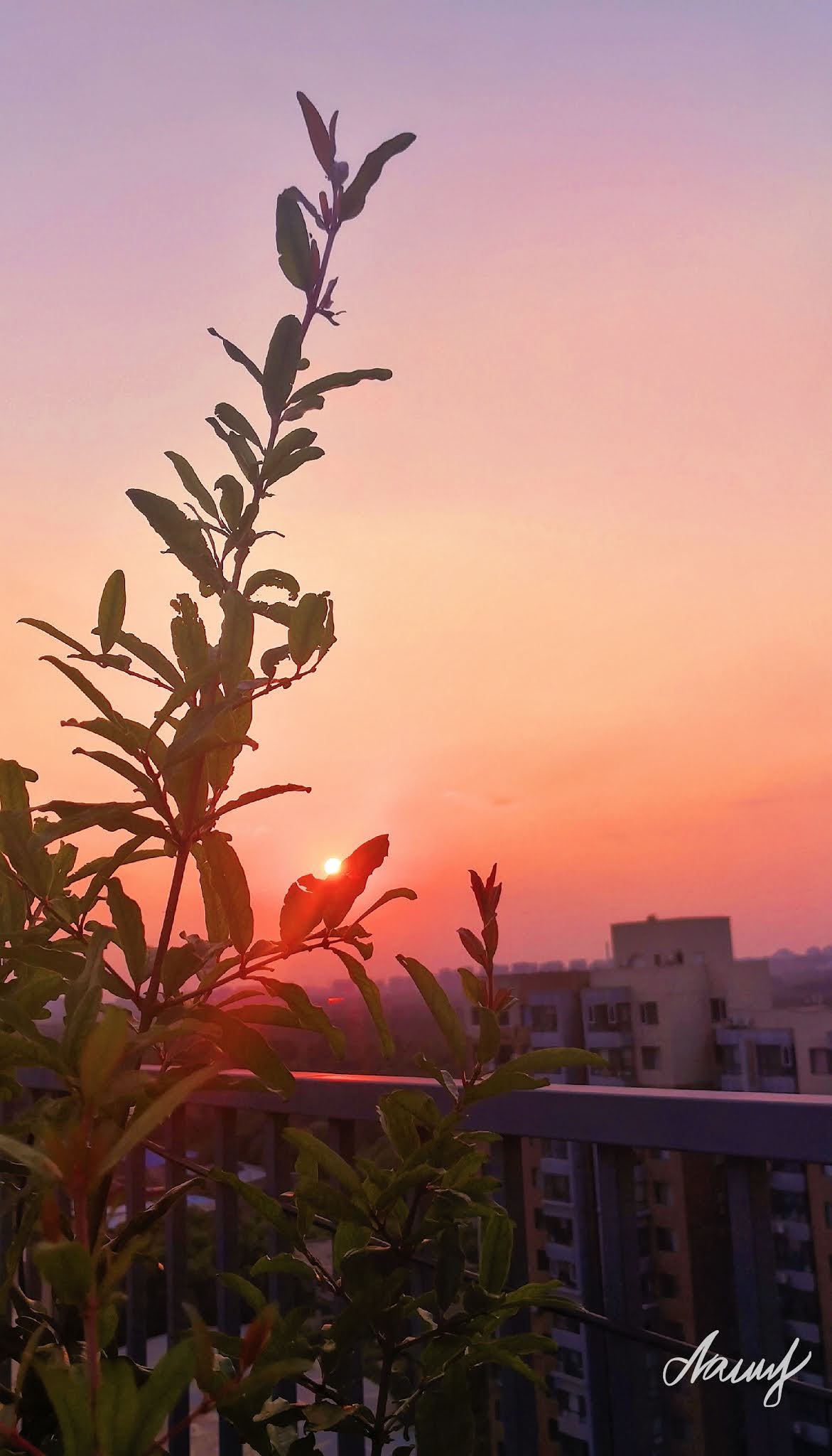 9 How to take beautiful sunset photography, come to see my skill tips ...