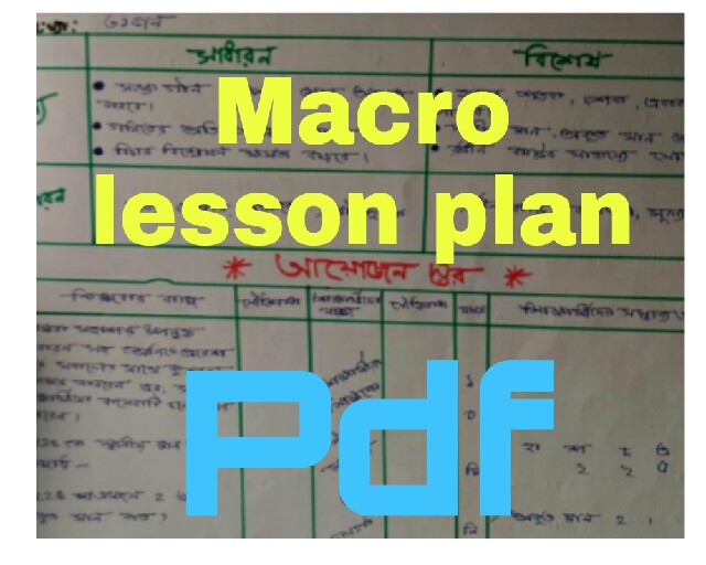 Macro lesson plan PDF for d.el.ed(W.B) - শিখন-শিক্ষণ