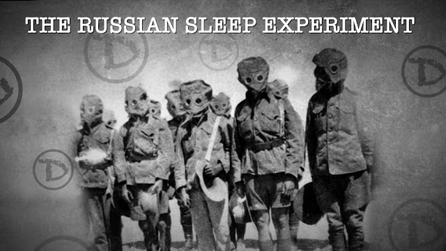 The Russian Sleep Experiment | The Most Terrifying Human Experiment ...