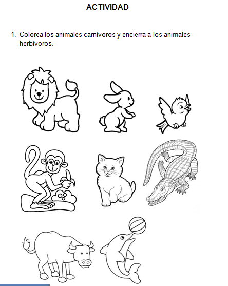 INFANTIL 5 AÑOS: ANIMALES CARNÍVOROS, HERBÍVOROS Y OMNÍVOROS