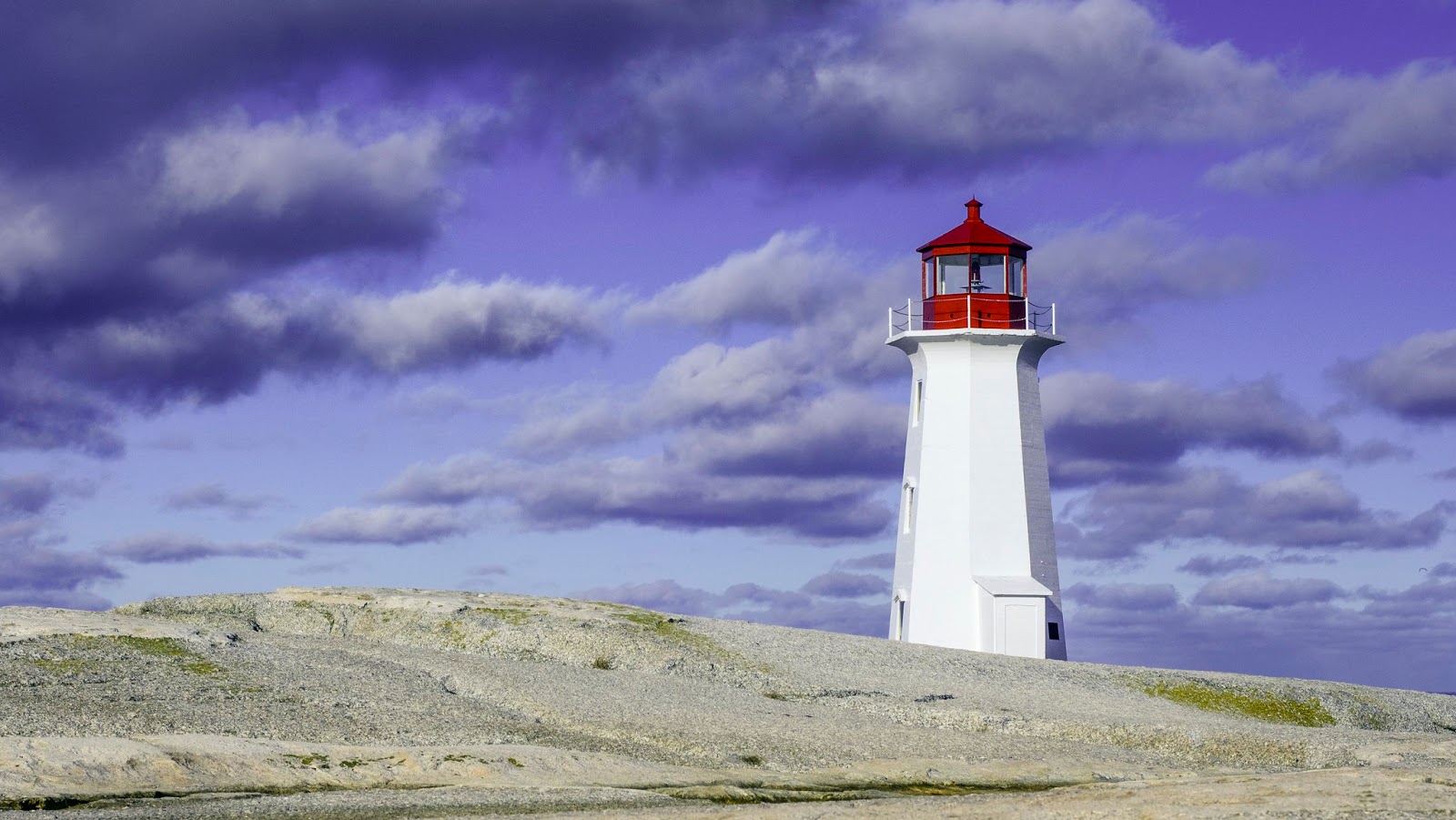 The Aquaculturists Cermaq Canada Their Let Option To Lease In Nova Scotia Expire the-aquaculturists-cermaq-canada-their-let-option-to-lease-in-nova-scotia-expire