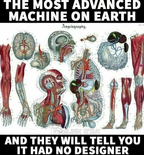 How to use your own body to your advantage: When your body is a machine ...