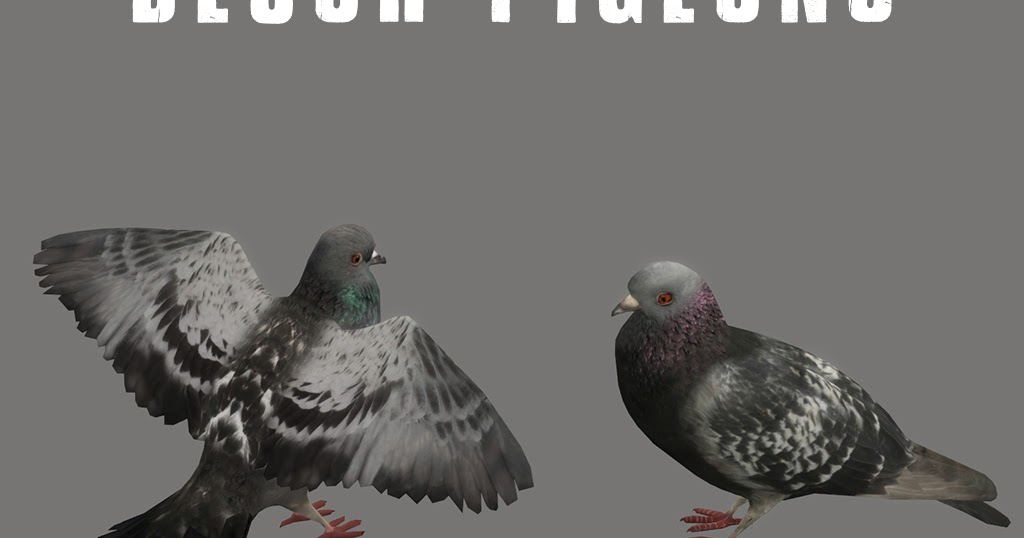 The Sims 4 mody do gry: Dekoracyjne gołębie od Leosims