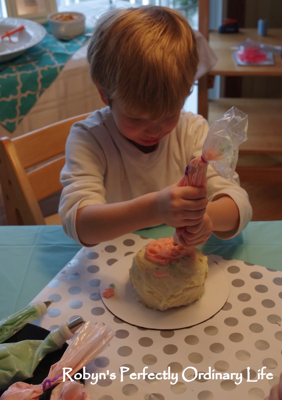 Robyn's Perfectly Ordinary Life: Cake Decorating Birthday Party