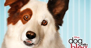 Kira's favorite TV show: Dog with A Blog : Stan The Dog.