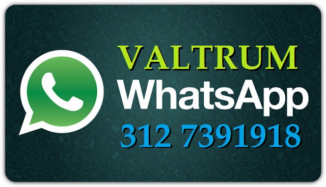 VALTRUM SANTO REMEDIO PARA DOLORES MUSCULARES 50 ML: 2016