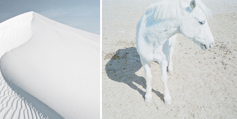 Choose Your Magic Travel: The White Colour in Nature