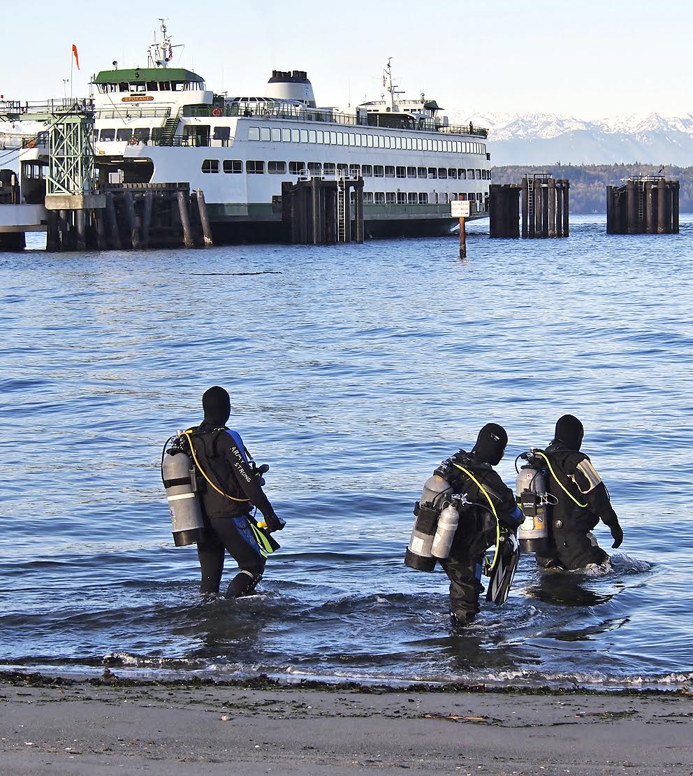 Ways To Escape By Candace Dempsey : Fun in the Water: Diving to Rafting ...