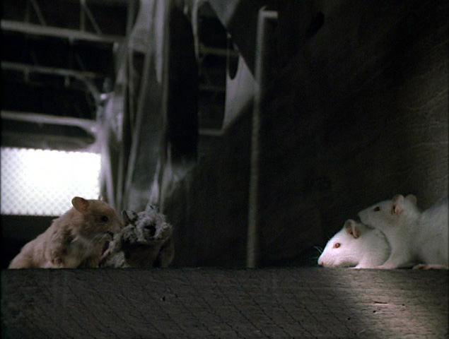 Pop Culture Vomit Bag!: The Witches (1990)