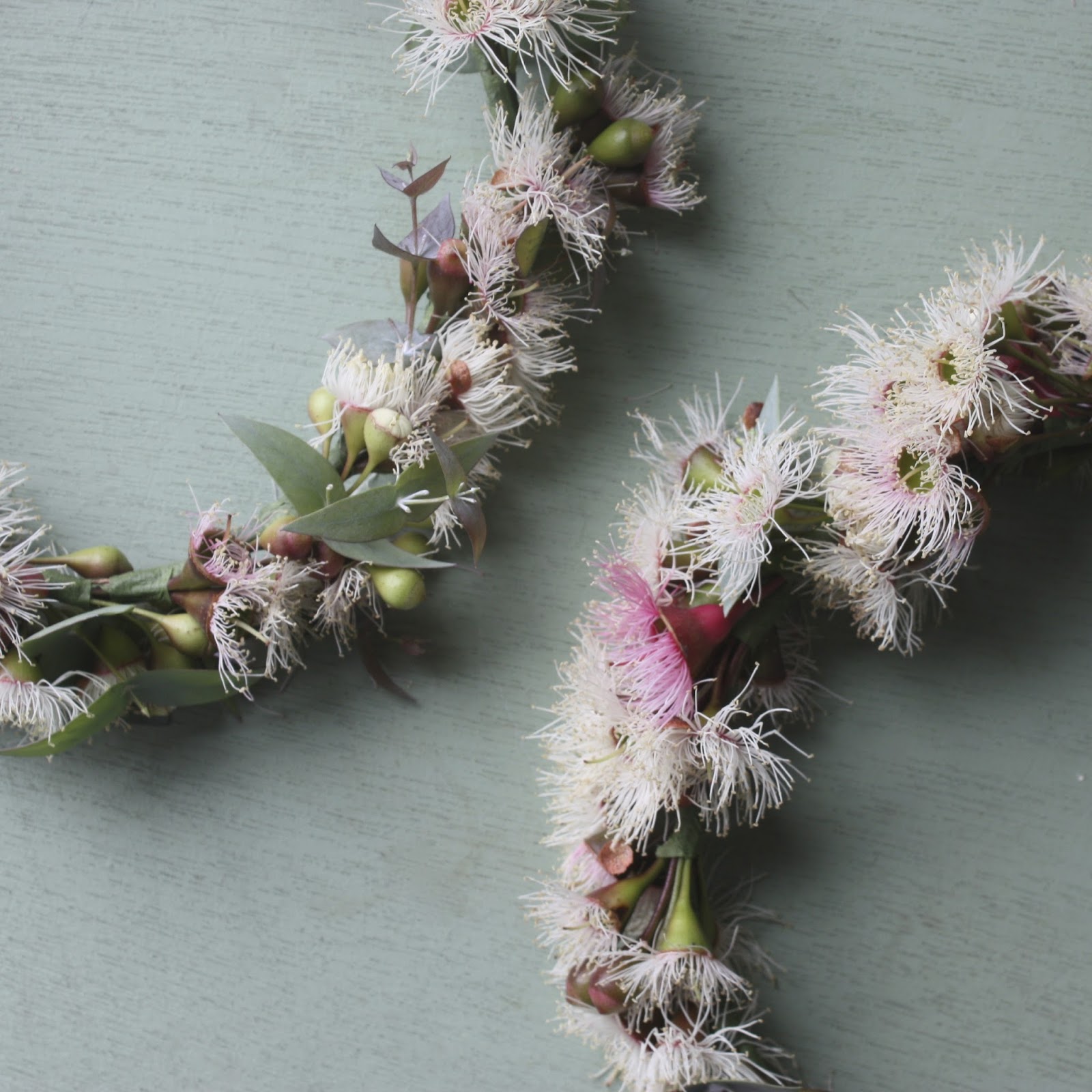 Swallows Nest Farm: August 2018