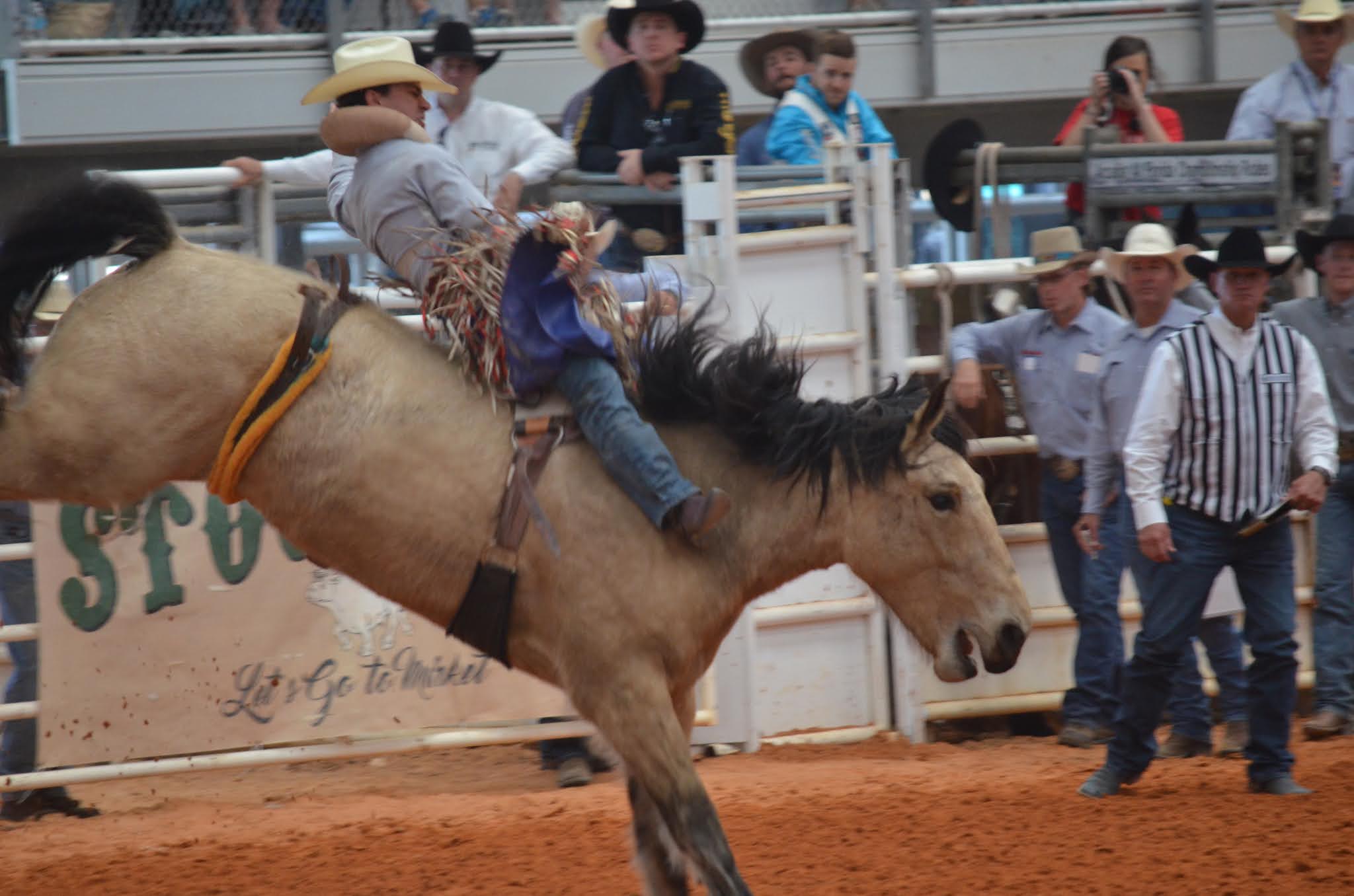 the other paper: Arcadia All-Florida Championship Rodeo Is A Bucking ...