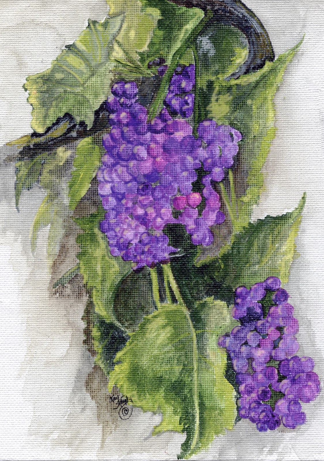 Kay Murphy's Studio Kay Murphy-Wallace:artist: Acrylic painting of grapes