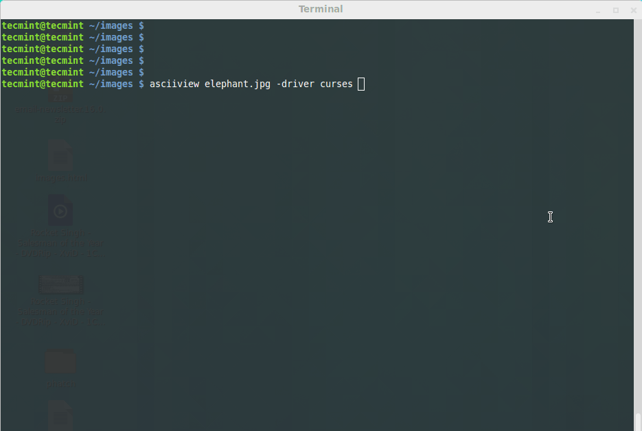 Top 10 Linux Easter Eggs ~ Hints and Tips for linux