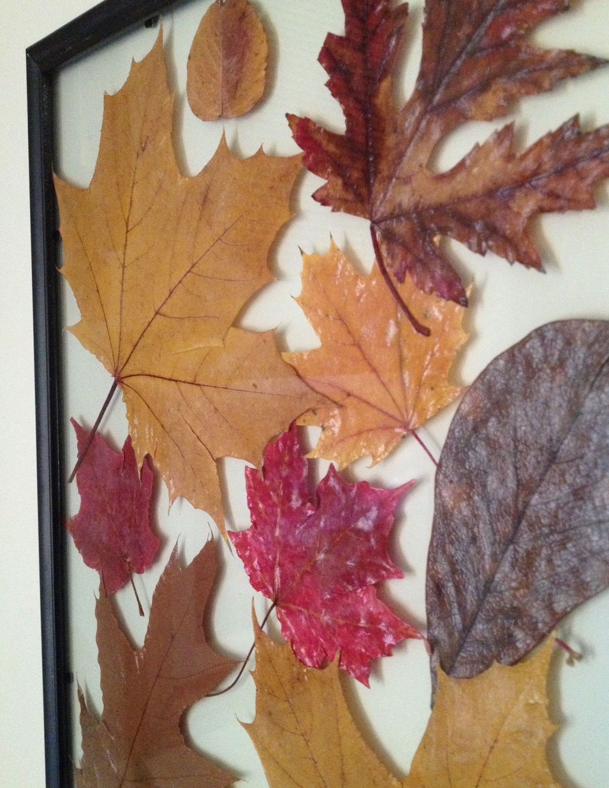 Susan Marie : Preserving & Framing Autumn Leaf Tutorial