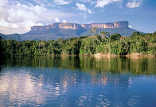 Relieve de las Américas: Relieve continental: Mesetas