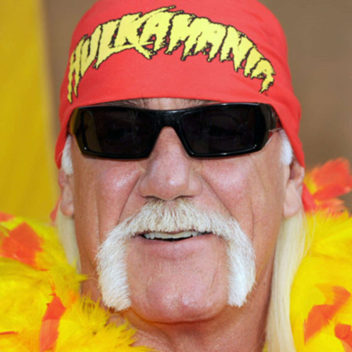 Hulk Hogan Mustache