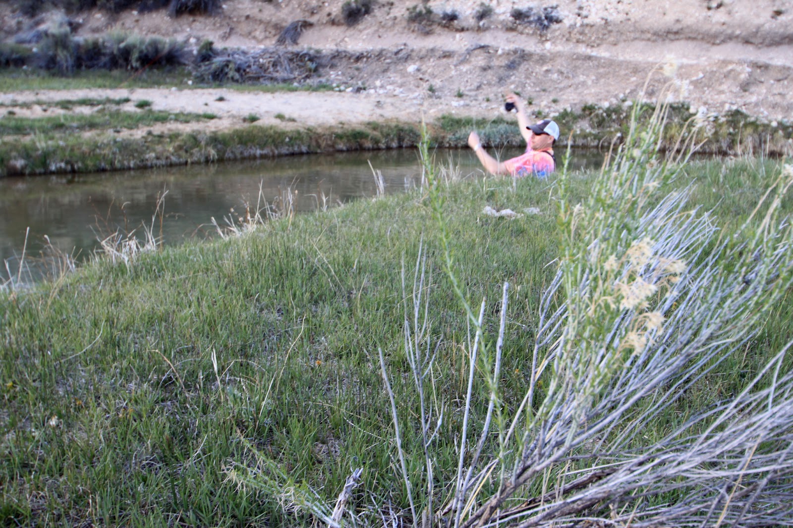 River Tales: Asay Creek (An unexpected treat)