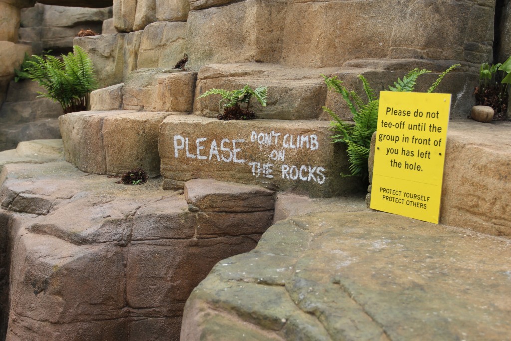 The Ham and Egger Files: Crazy Golf at The Flower Bowl Entertainment ...