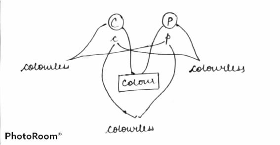 COMPLEMENTARY AND SUPPLEMENTARY GENE INTERACTION