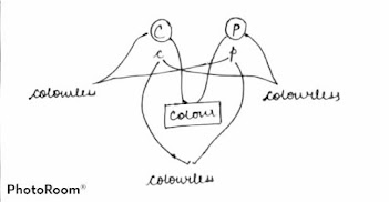 COMPLEMENTARY AND SUPPLEMENTARY GENE INTERACTION