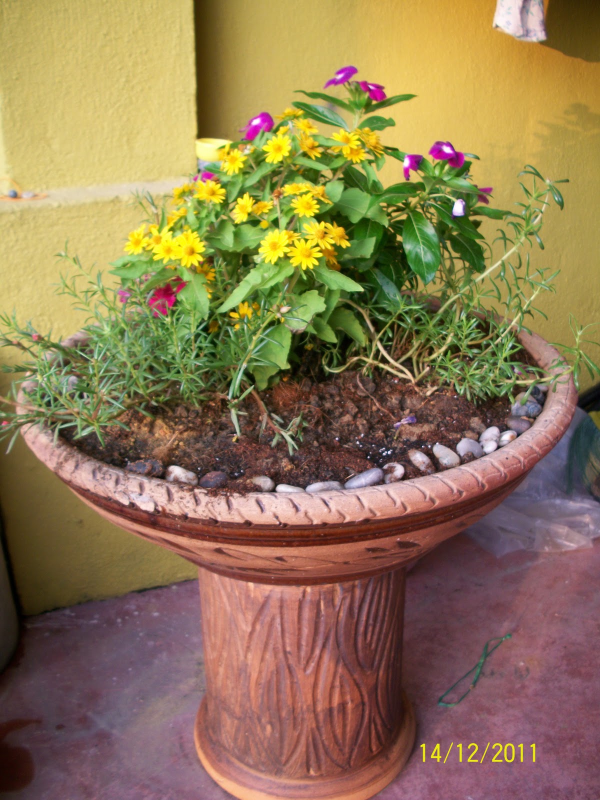 suterazen.blogspot.com: Senaman Mata