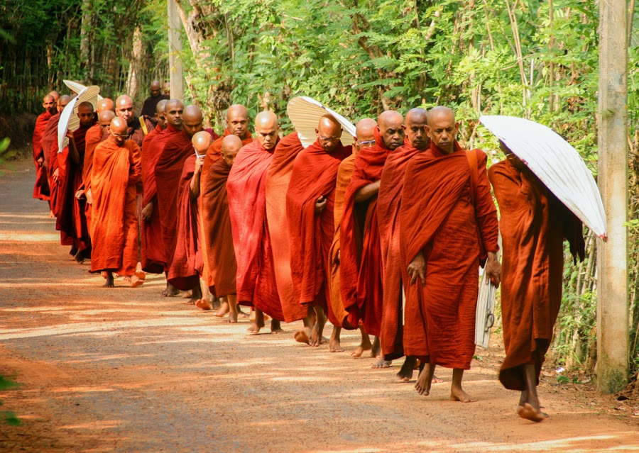 Lucy's Buzz : Ordination of New Monks