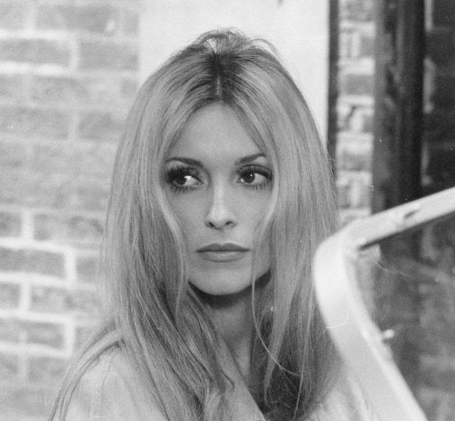 Wonderful Black and White Portraits of Sharon Tate Taken by Sean Barry ...