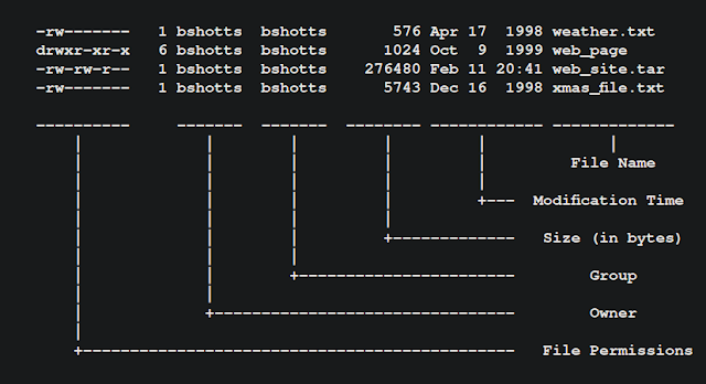 Tree command in Linux | Hacking Truth