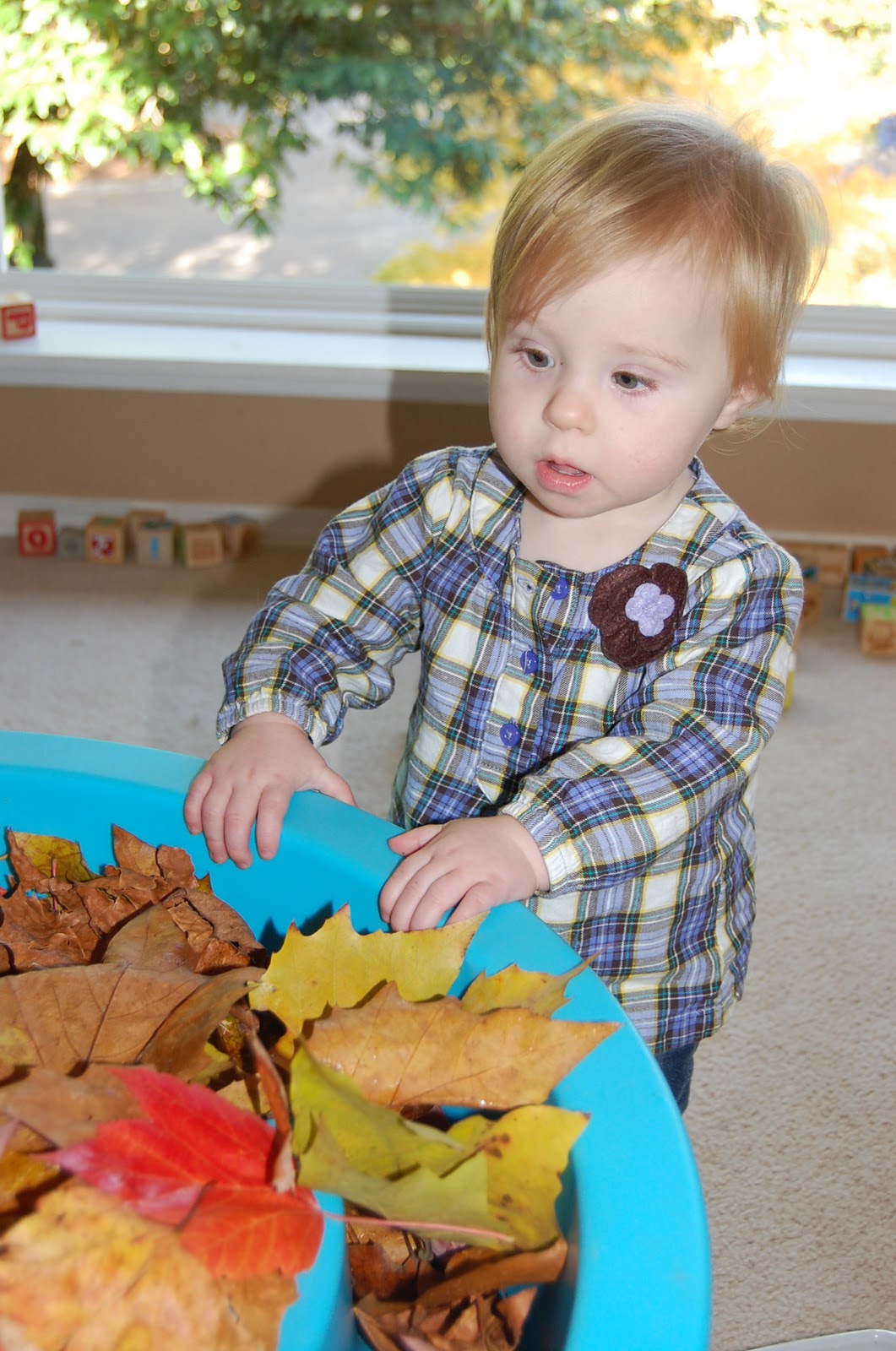 Preserving Life's Moments: Leaf Sensory Table