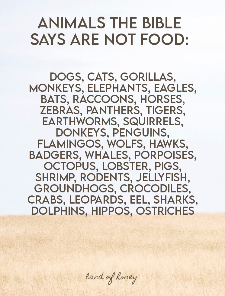 land of honey: What Scripture Says Not To Eat (Leviticus 11)
