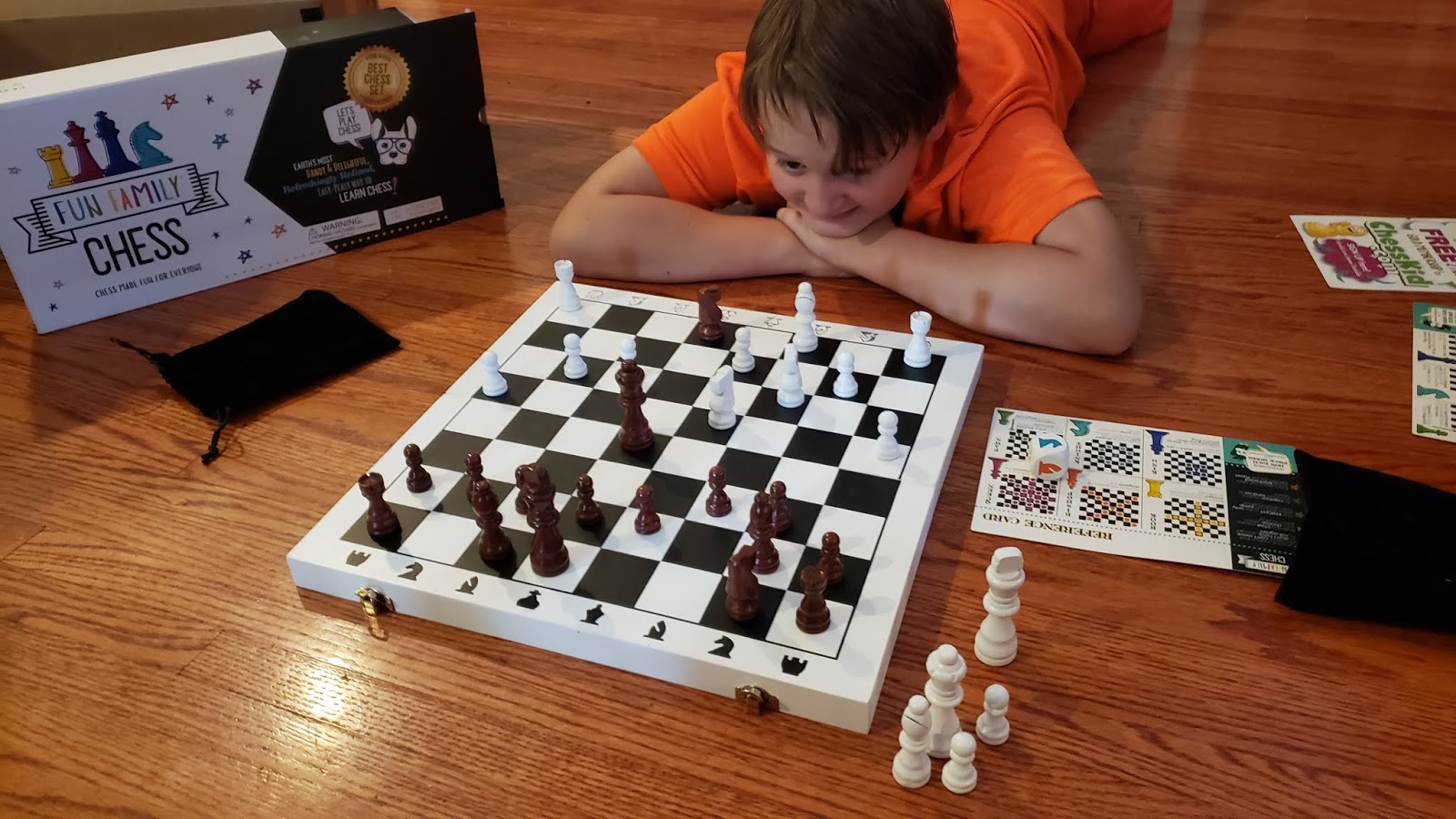 Walking Home . . .: Fun Family Chess ~~ A New TOS Review!!