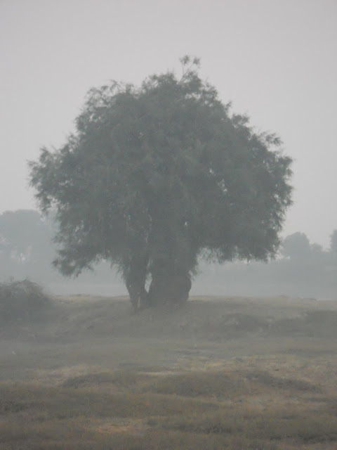 Holy Pond - Pond which is Full of Spells Powers | Unseen Indian Haryana ...