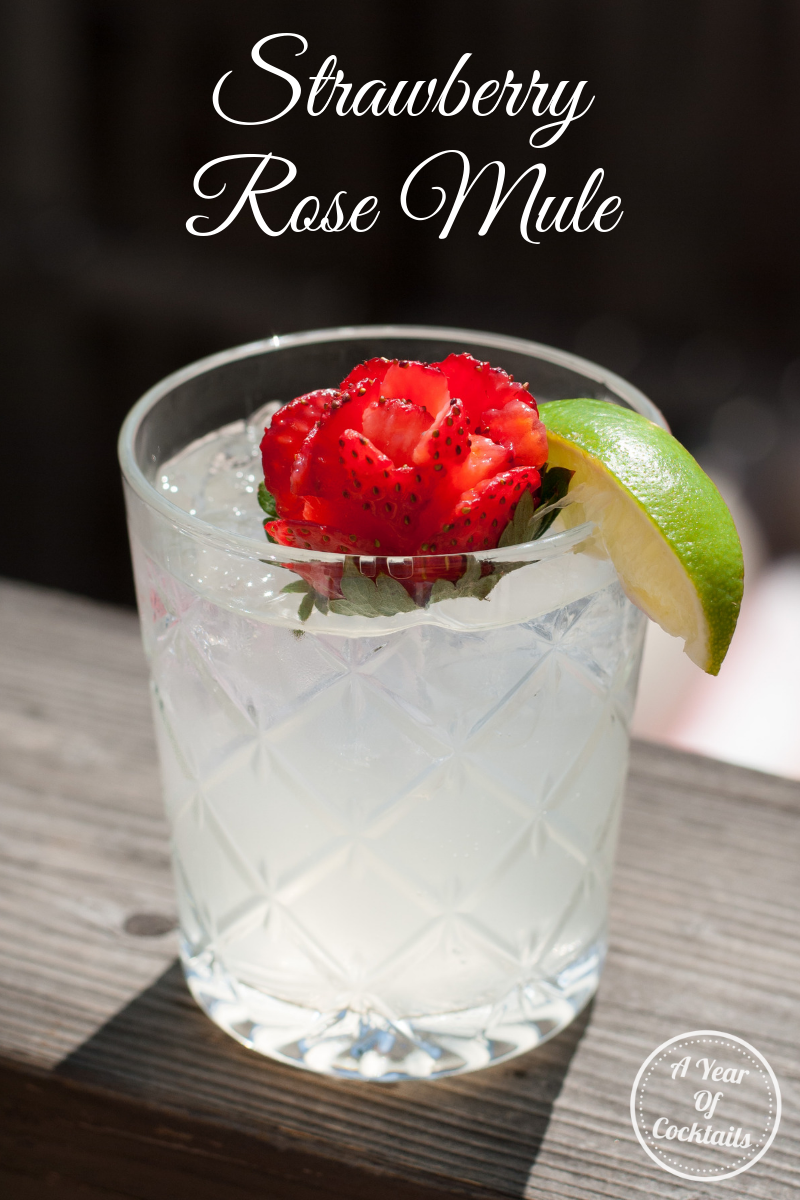 2 New Non-Minty Flavored Mules - A Year of Cocktails