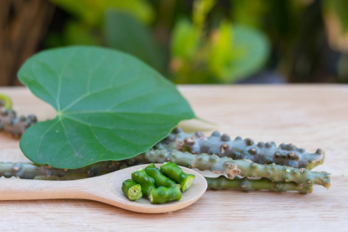 Giloy Juice Immunity Booster | How To Make Giloy Kadha At Home